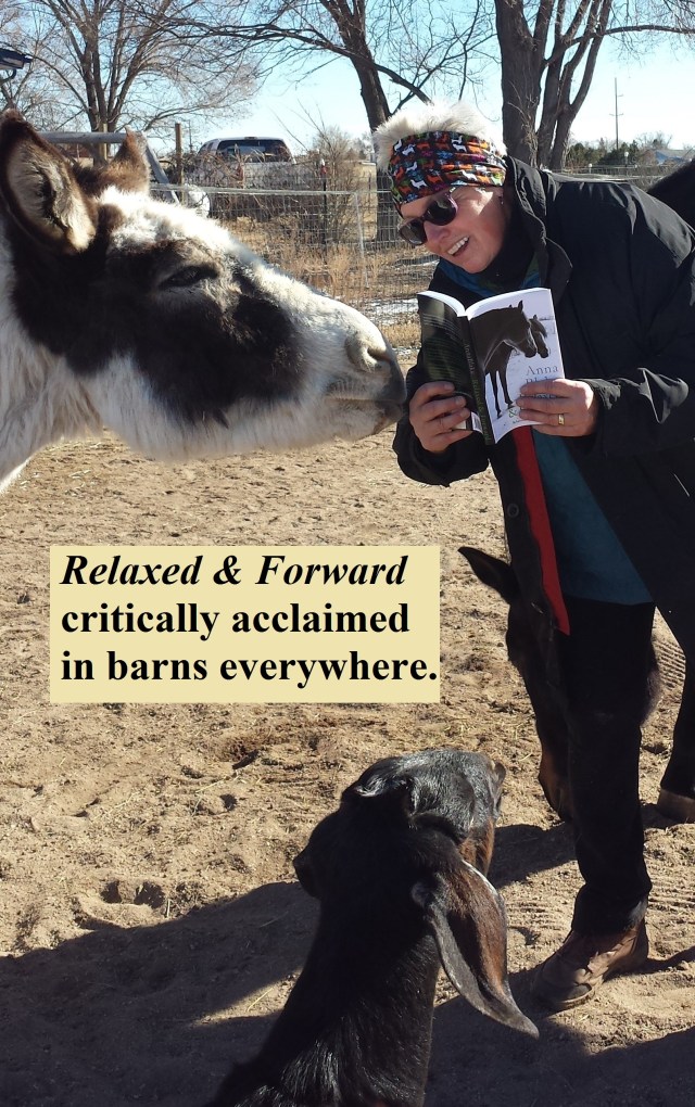 Donkey Skills for the Recovering Introvert – Anna Blake, Author